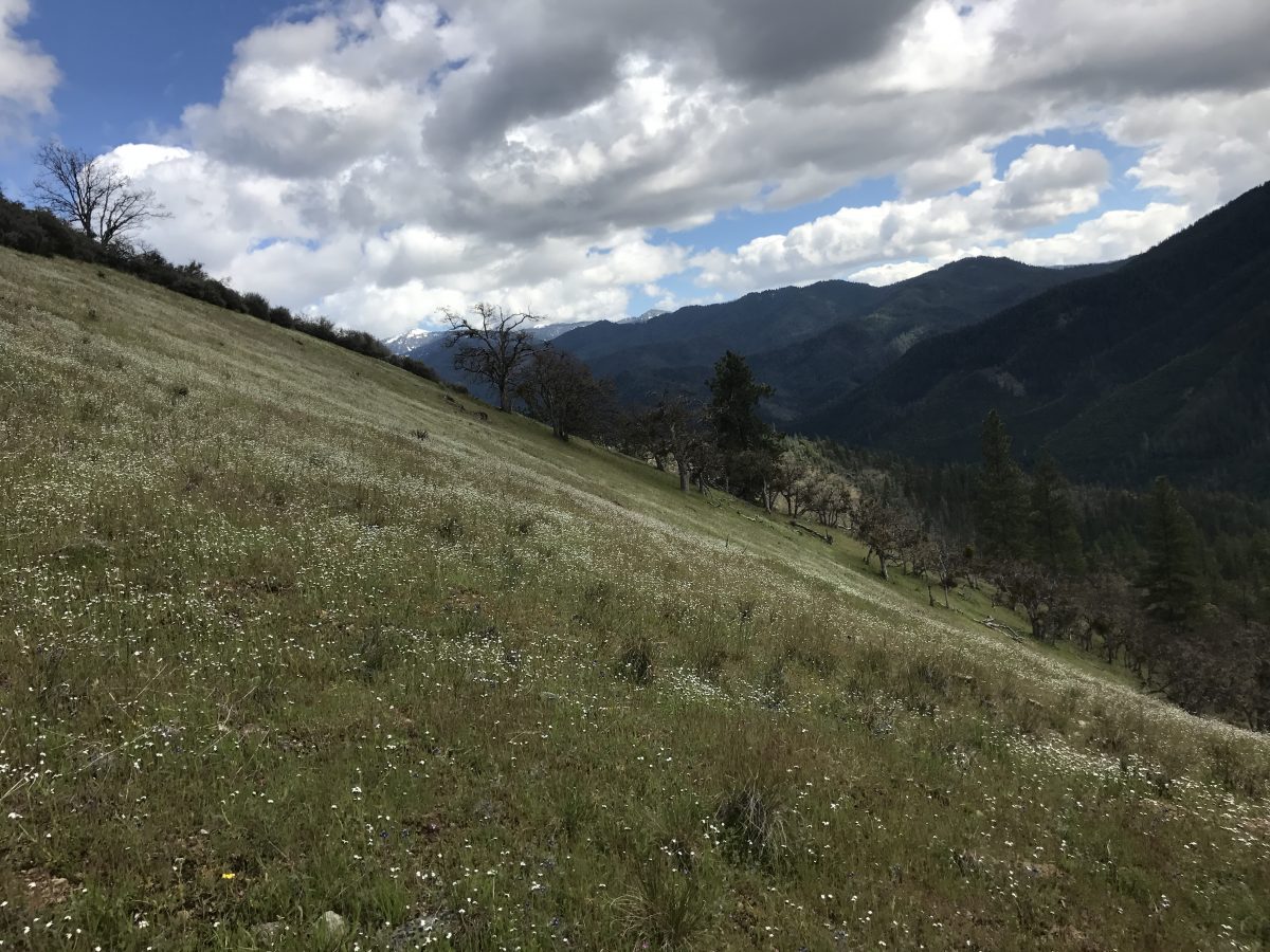 The Upper Applegate Watershed Restoration Project: Comment Now ...