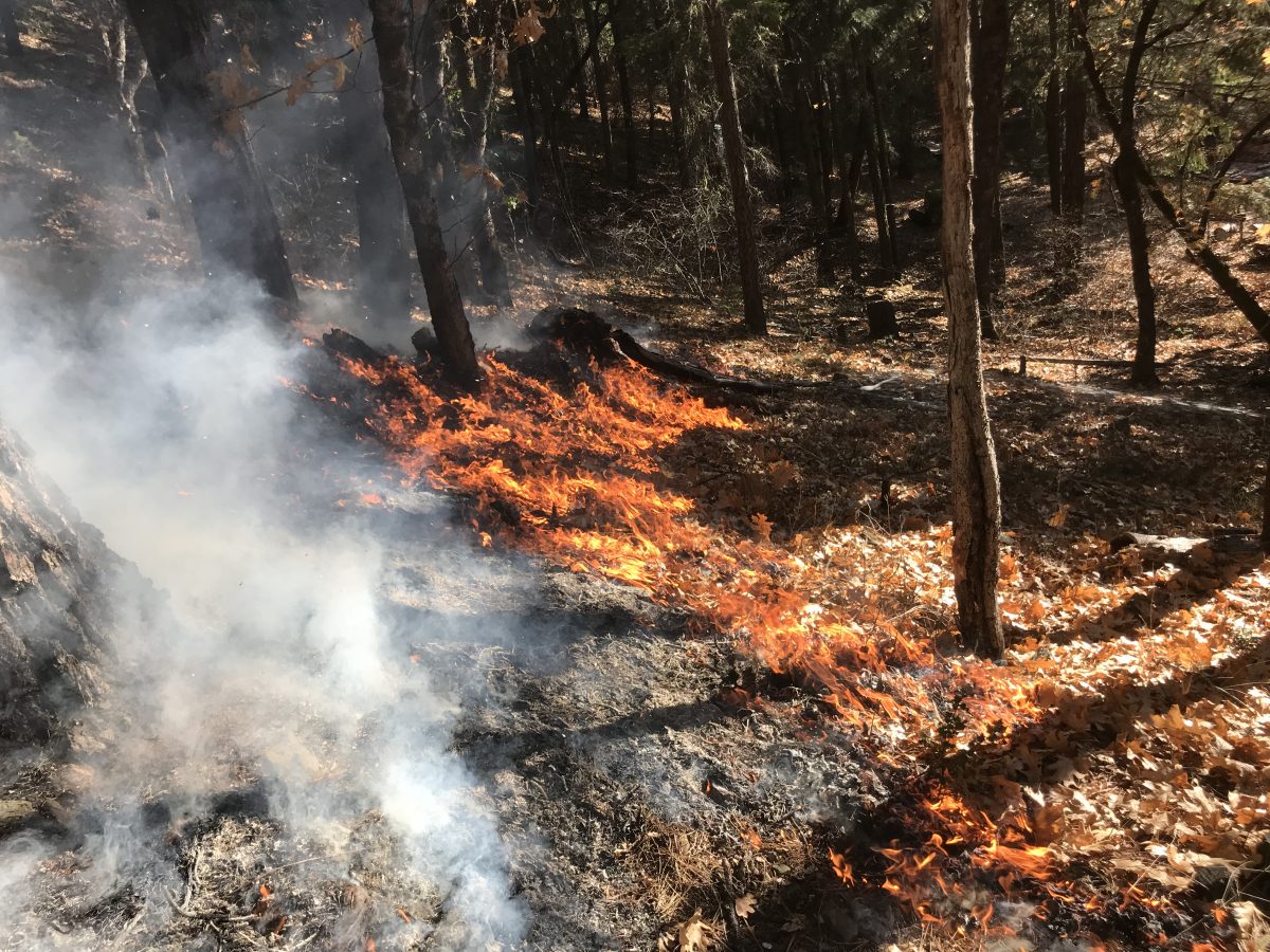 The Upper Applegate Watershed Restoration Project: Comment Now ...