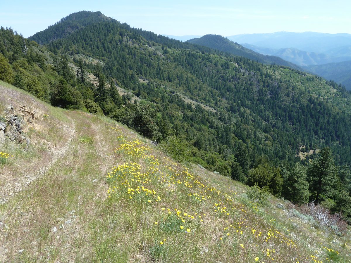 The Upper Applegate Watershed Restoration Project: Comment Now ...