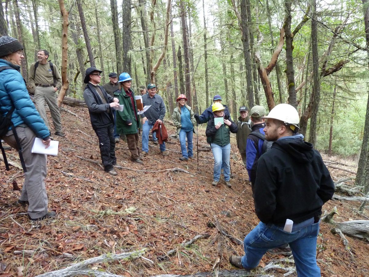 The Upper Applegate Watershed Restoration Project: Comment Now ...