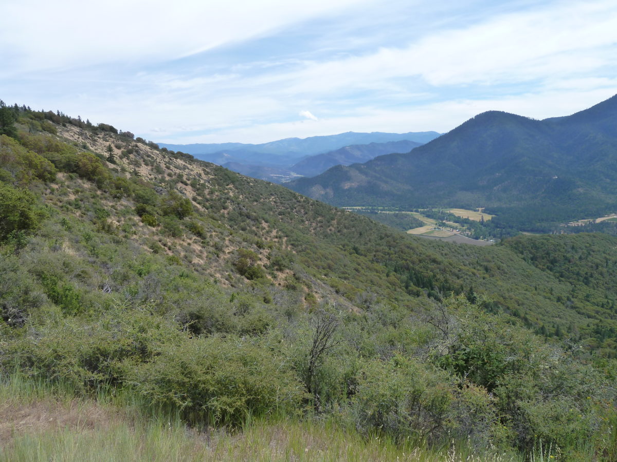 Applegate Chaparral: A Unique, Underappreciated & Threatened Ecosystem ...
