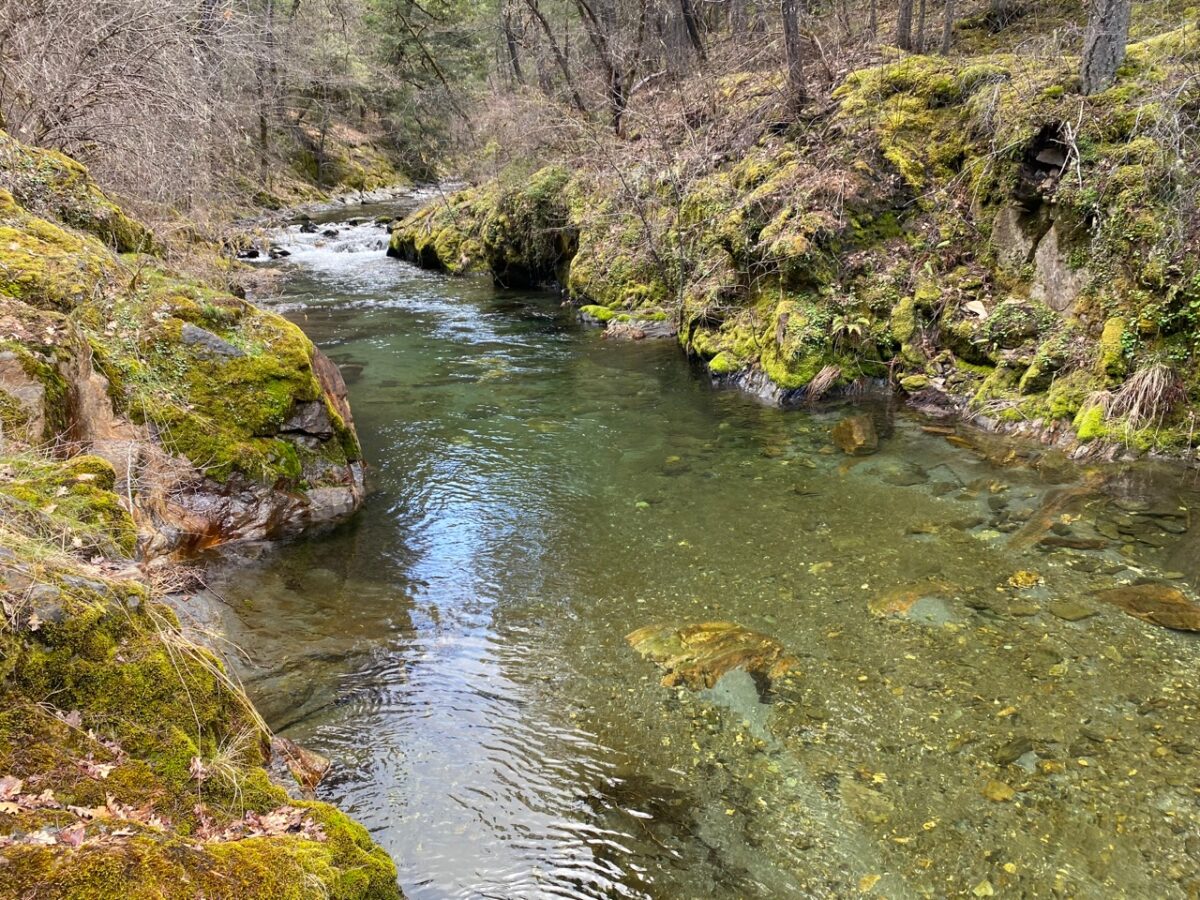 Confronting the Climate and Extinction Crisis in the Applegate ...