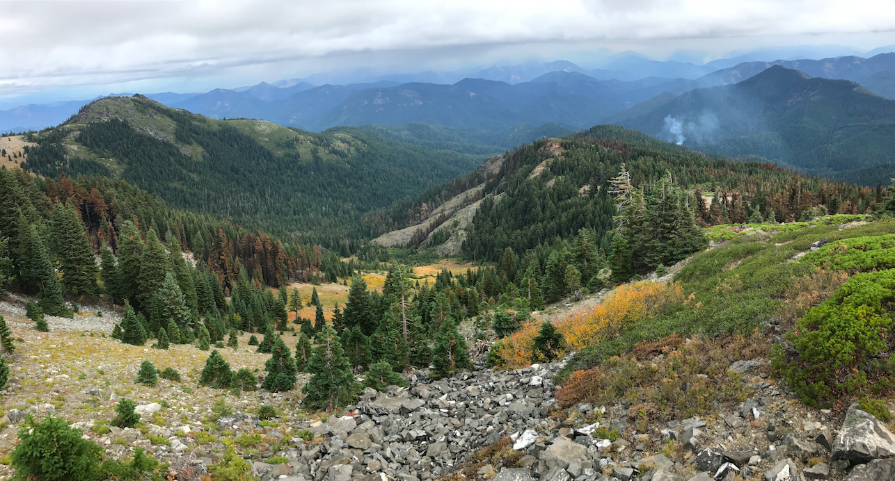 Revisiting the Miller Complex Fire Four Years Later – Applegate ...