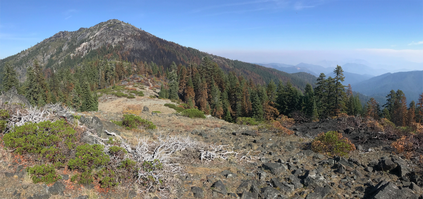 Revisiting the Miller Complex Fire Four Years Later – Applegate ...