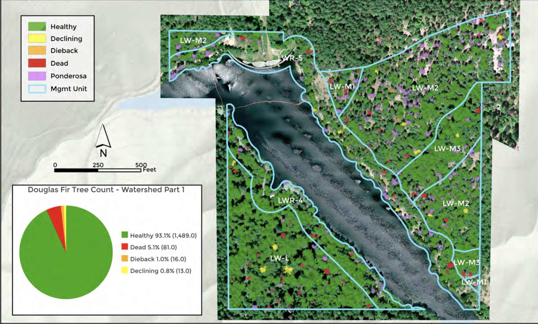 The Environmental Impacts of Salvage Logging in Southwestern Oregon ...