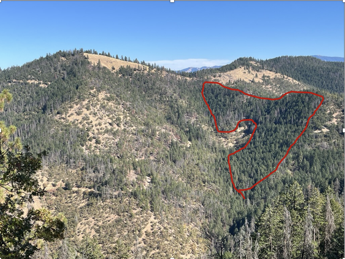 Deception, clearcut logging, and the BLM’s shameful timber grab in the ...