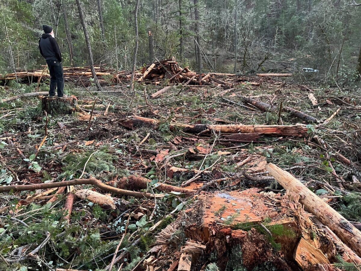 The SOS Project: Another misleading timber grab by the Medford District ...